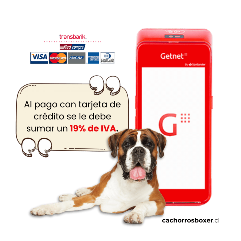 Home - Cachorros Boxer Chile